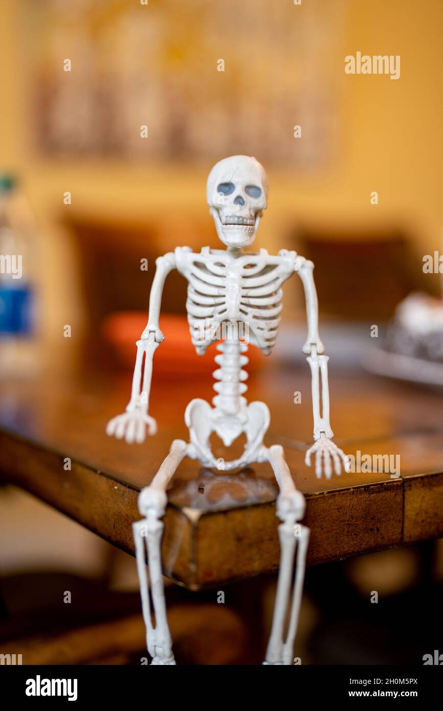 Skeleton closeup hi-res stock photography and images - Alamy