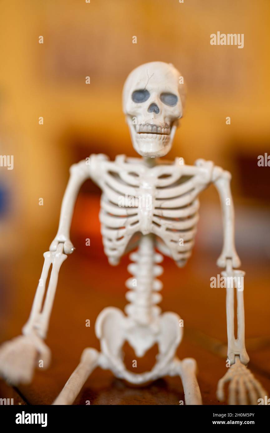 Skeleton closeup hi-res stock photography and images - Alamy