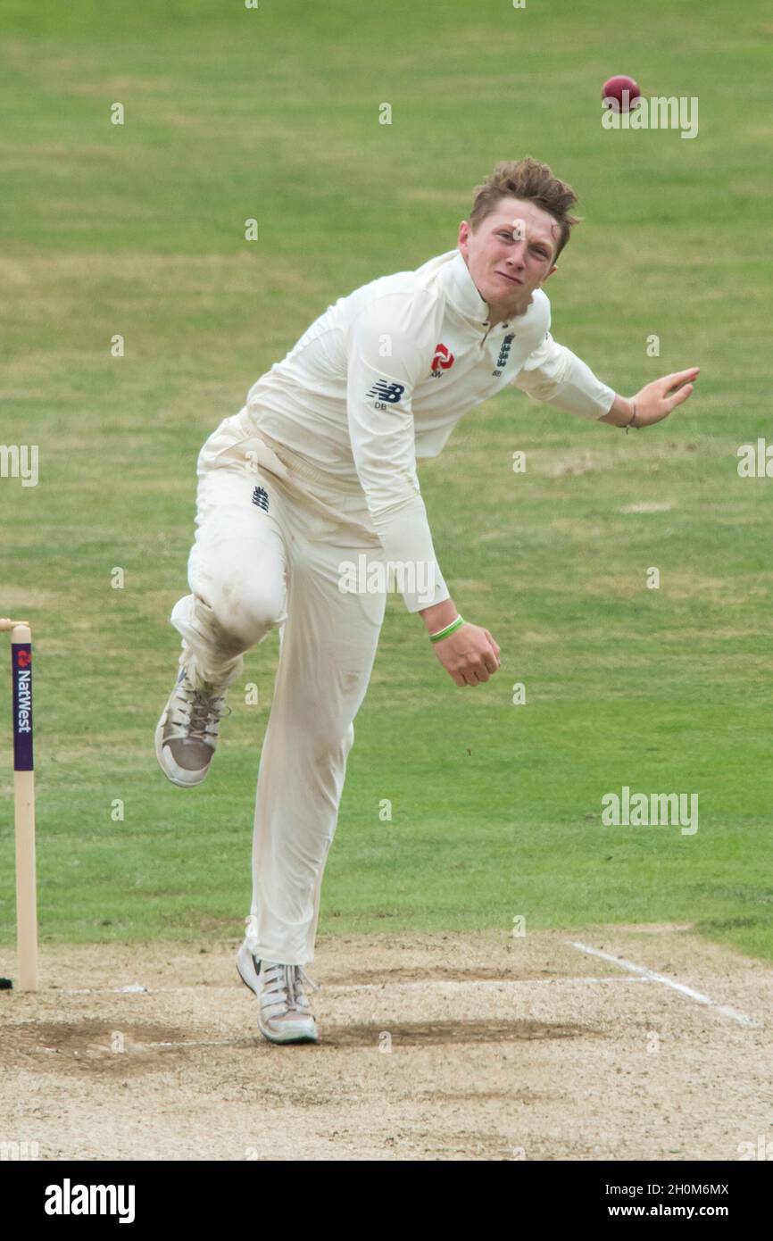 Cricket dominic hi-res stock photography and images - Alamy