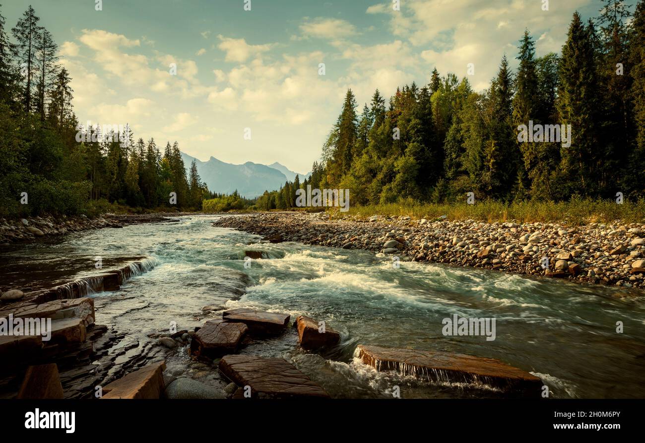 Bialka hi-res stock photography and images - Alamy