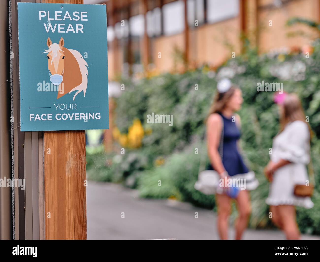 Princess mary gate york racecourse hi-res stock photography and images ...