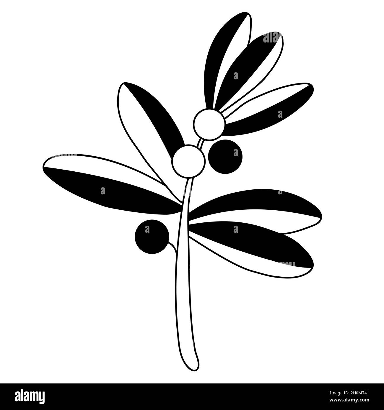 Branch of plant with round berries and leaves. Vector illustration ...