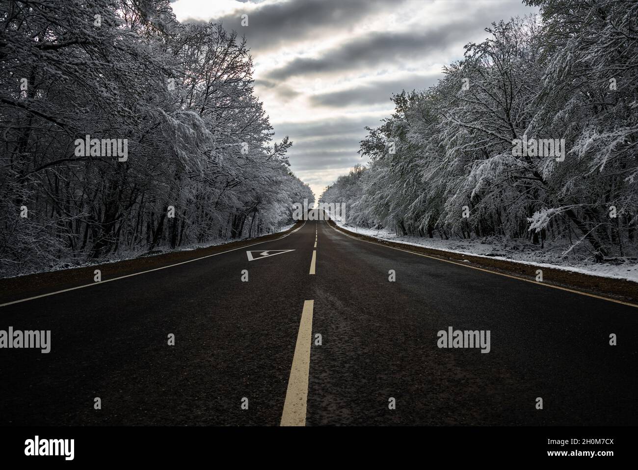 Empty car road snowy forest hi-res stock photography and images - Alamy