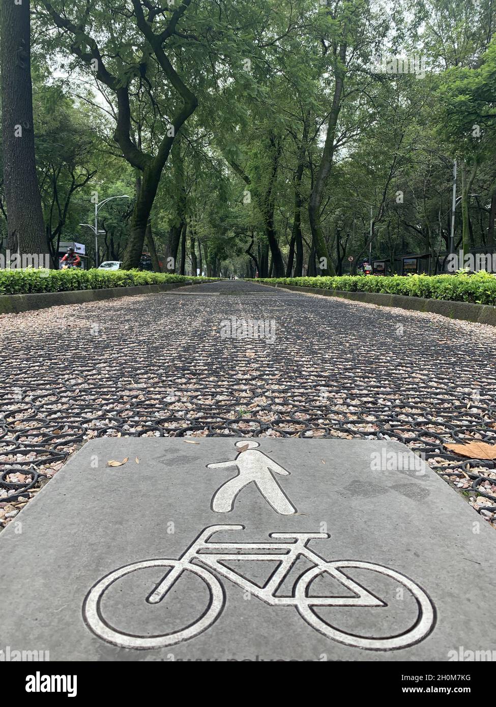 Vertical shot of a sign on the paved road in a park's cycling area on a ...