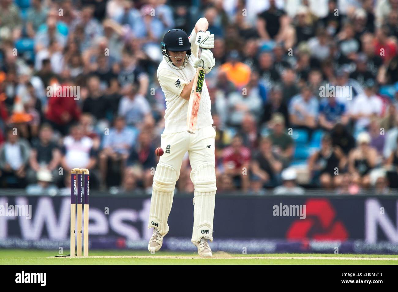 Dominic bess hi-res stock photography and images - Alamy