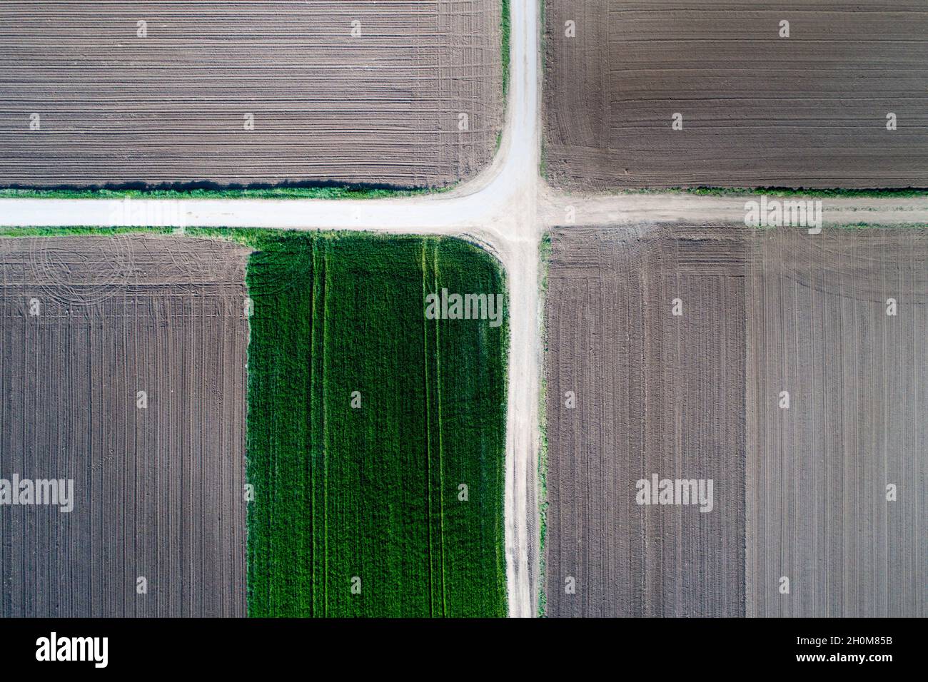Abstract geometric shapes of agricultural parcels of different crops ...