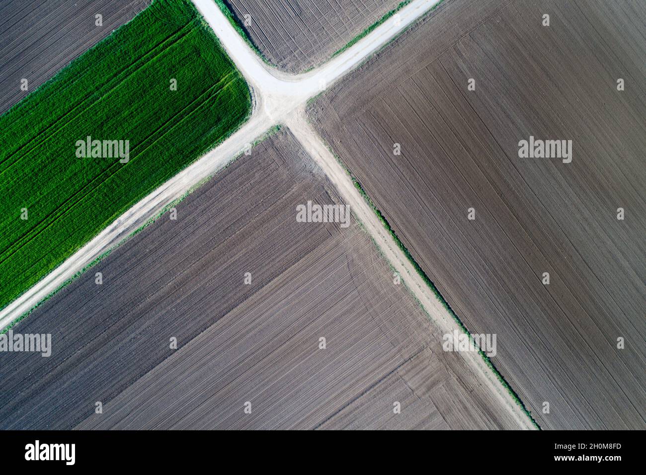 Abstract geometric shapes of agricultural parcels of different crops ...