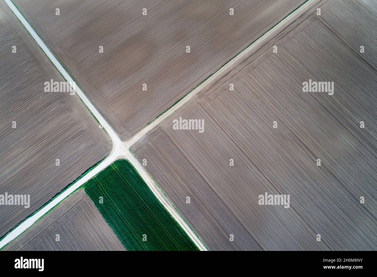 Abstract geometric shapes of agricultural parcels of different crops ...