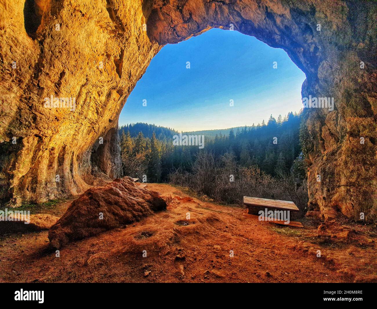 Beautiful view of a pine forest though a cave hole Stock Photo - Alamy