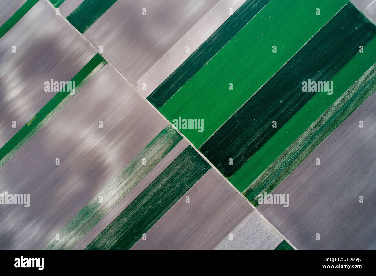 Abstract geometric shapes of agricultural parcels of different crops ...