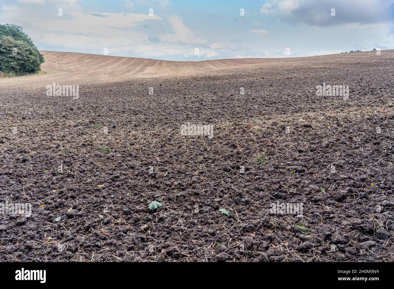 muddy field ready for planting Stock Photo - Alamy