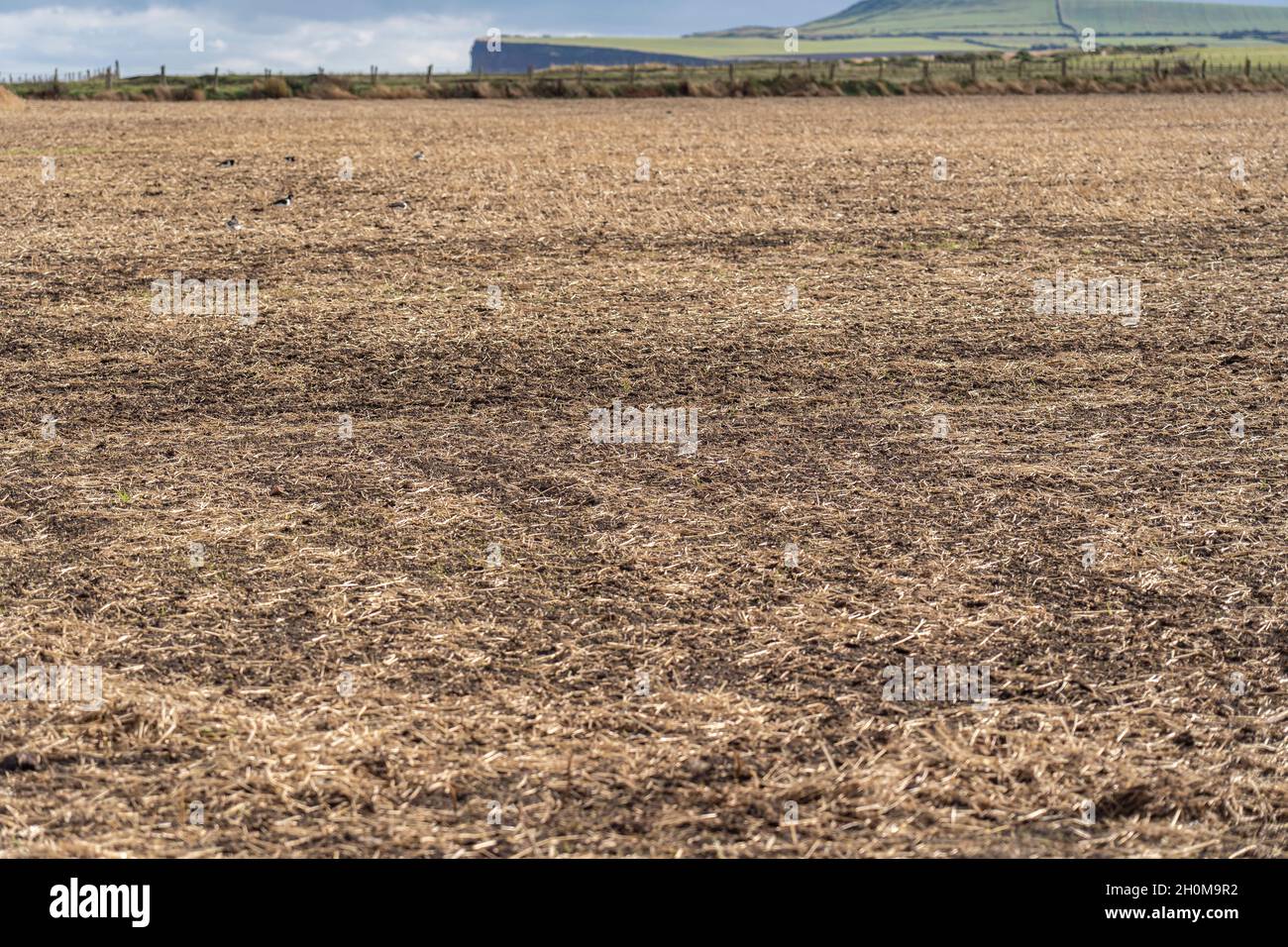 muddy field ready for planting Stock Photo - Alamy