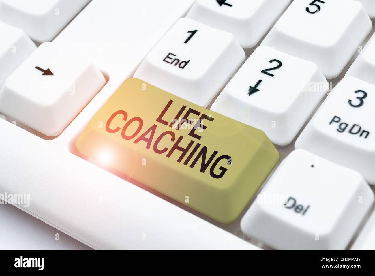 Writing displaying text Life Coaching. Concept meaning person employed ... Writing displaying text Life Coaching. Concept meaning person employed ...