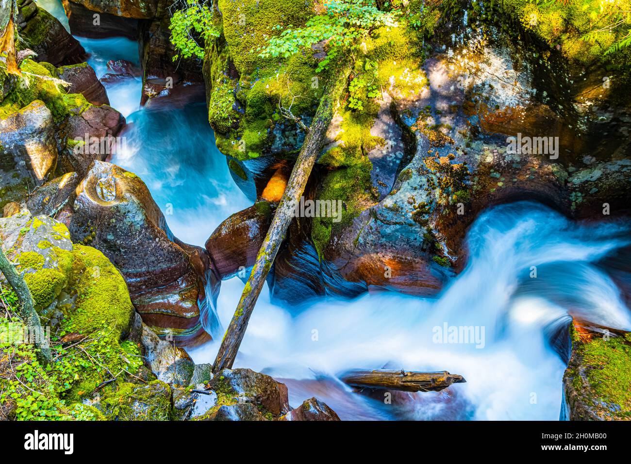 Avalanche Creek Flowing Through Avalanche Gorge in McDonald Valley ...