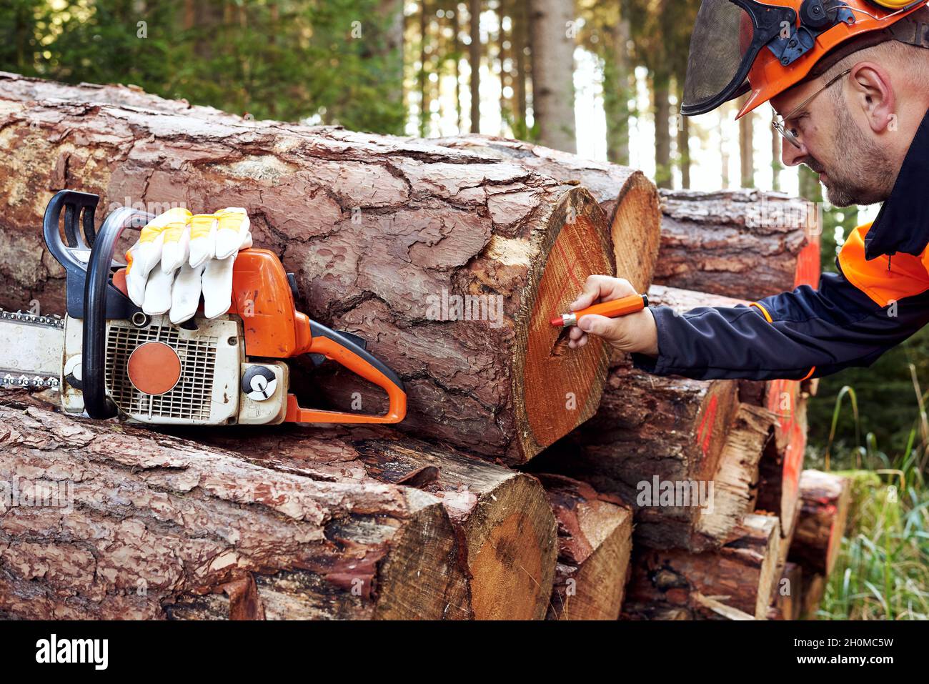 Professional lumberjack with protective workwear and chainsaw working ...