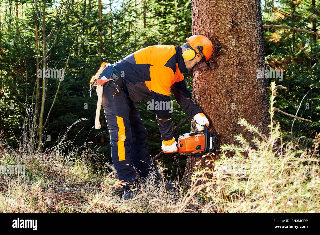 Professional lumberjack hi-res stock photography and images - Alamy