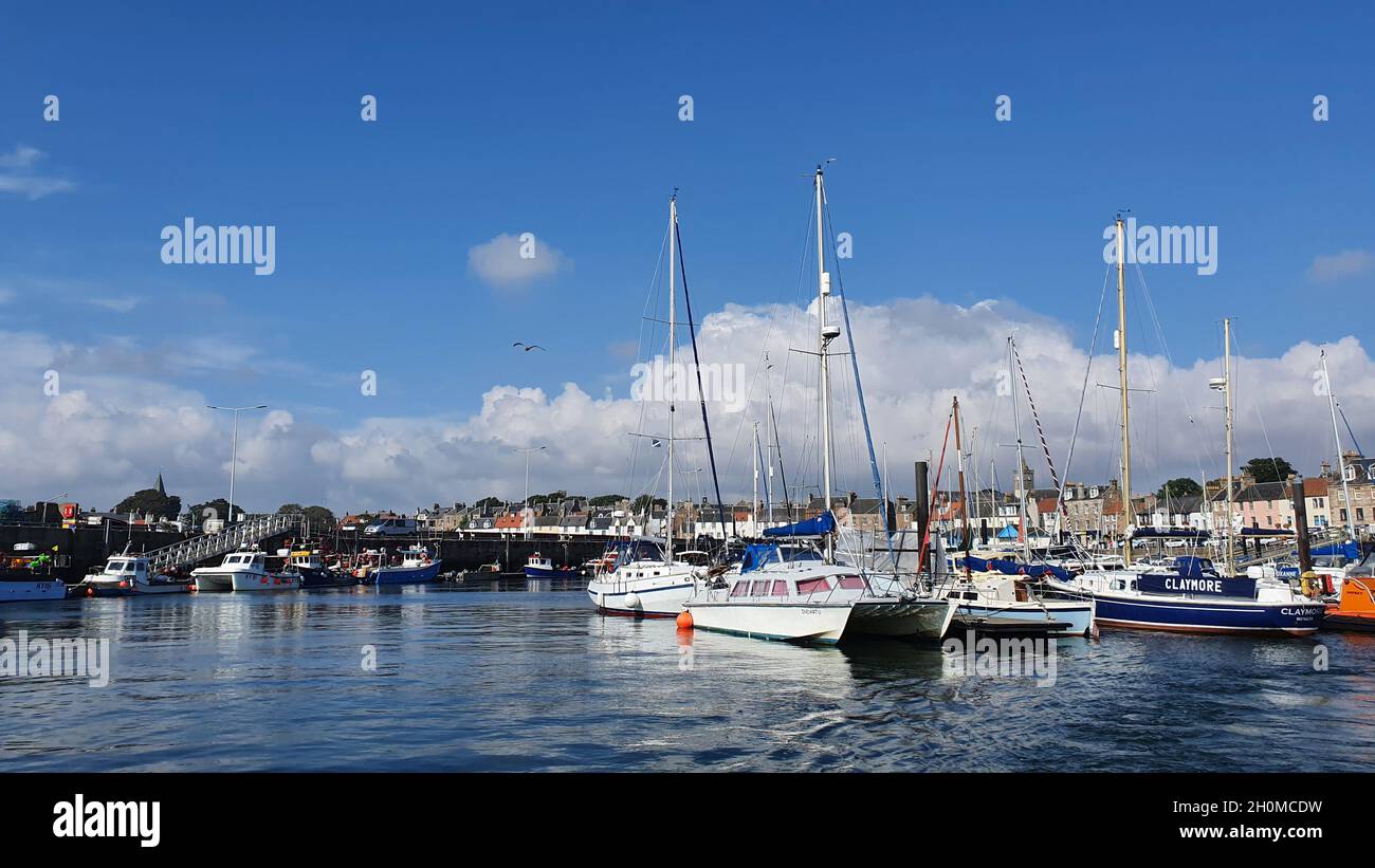 Anstruther pier lighthouse hi-res stock photography and images - Alamy