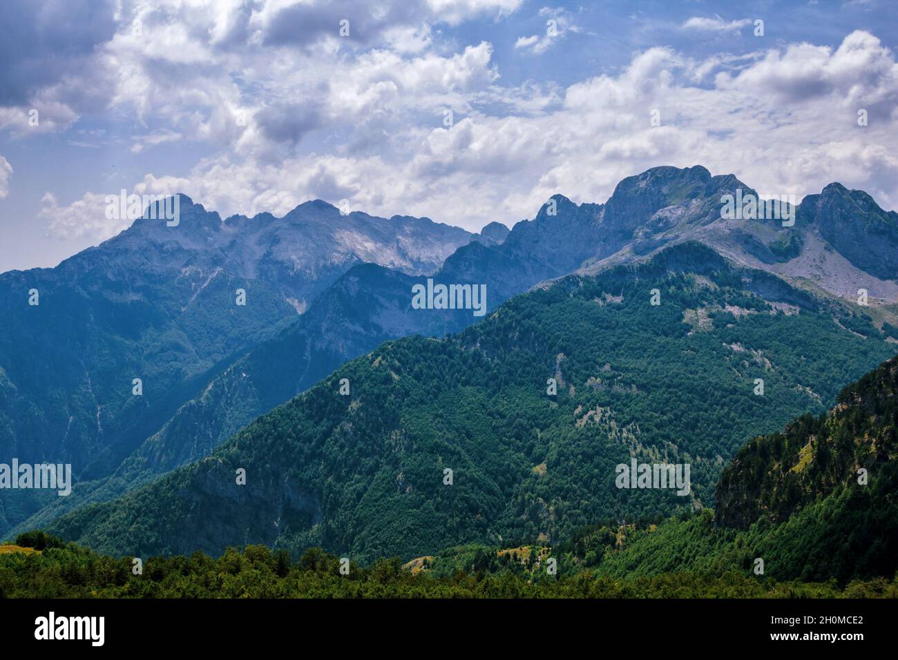 Summer landscape - Albanian mountains, covered with green trees and ...