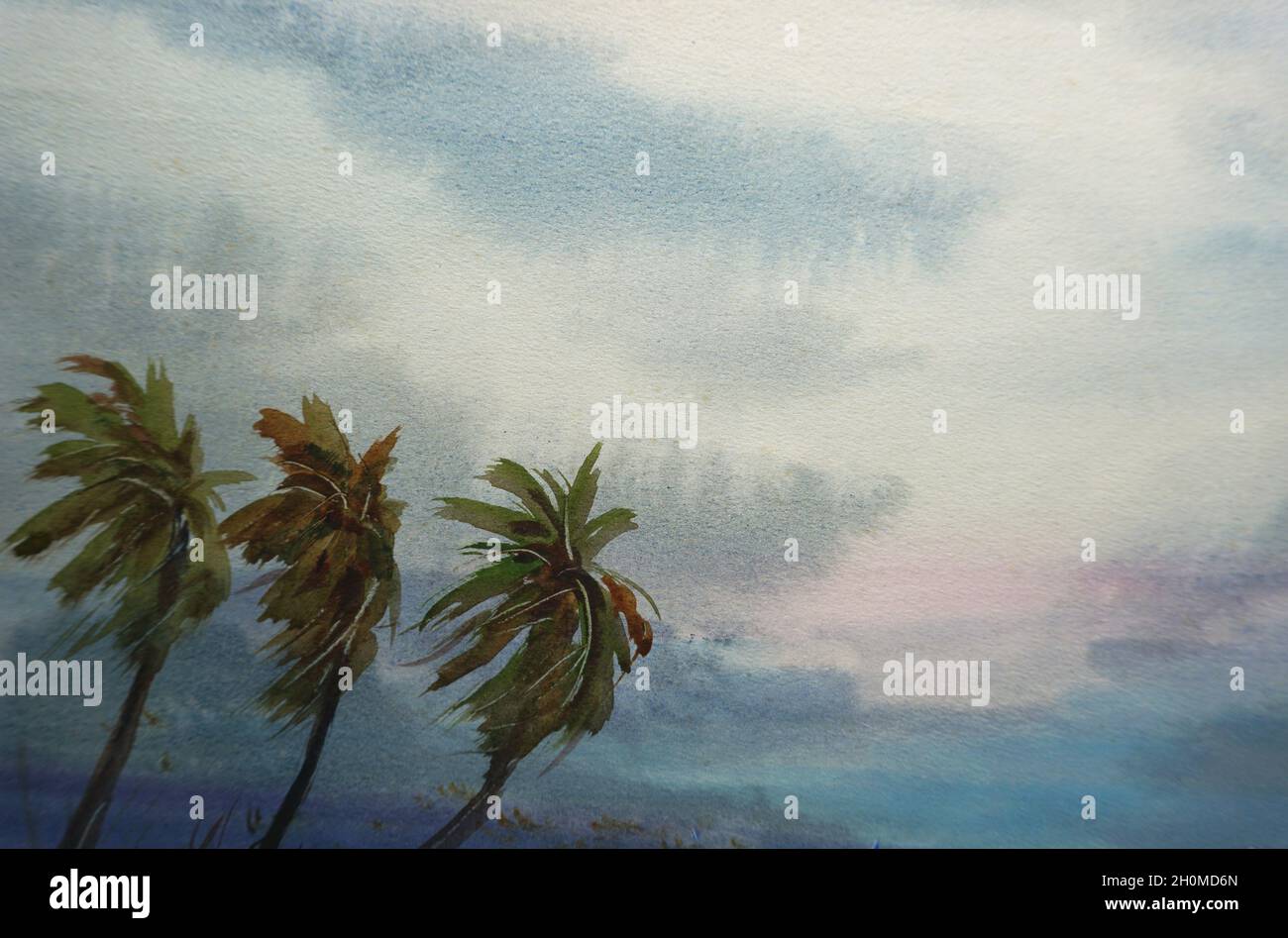 Watercolor painting art class , sea ,tree , sky Stock Photo - Alamy