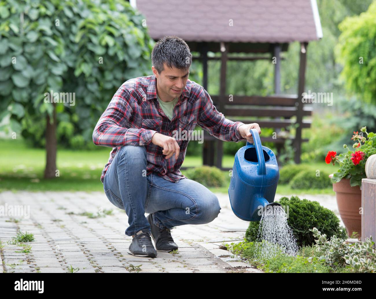 Flowers garden man handsome hi-res stock photography and images - Alamy