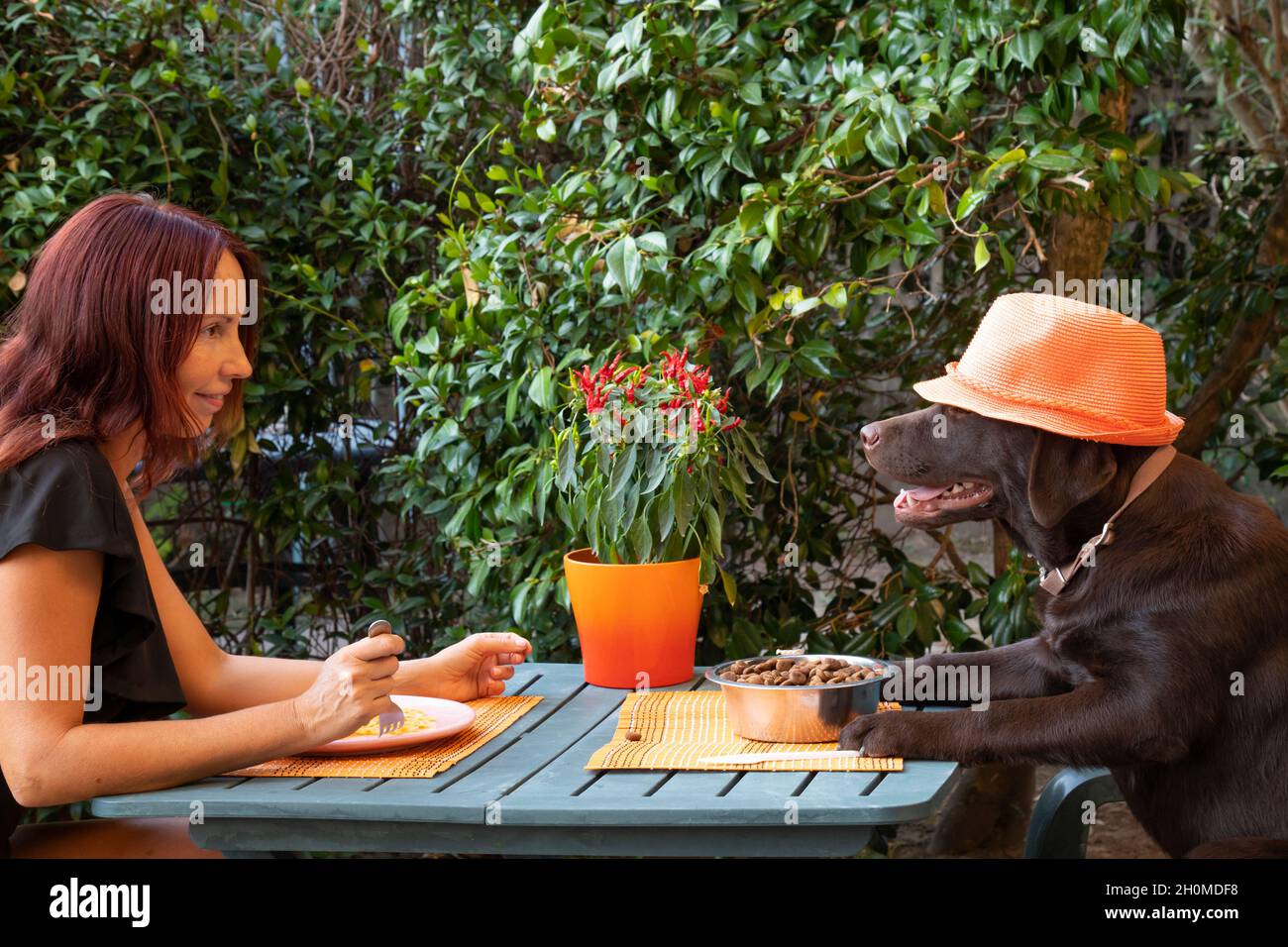 woman having dinner at the table with a dog wearing a hat, comic photo ...