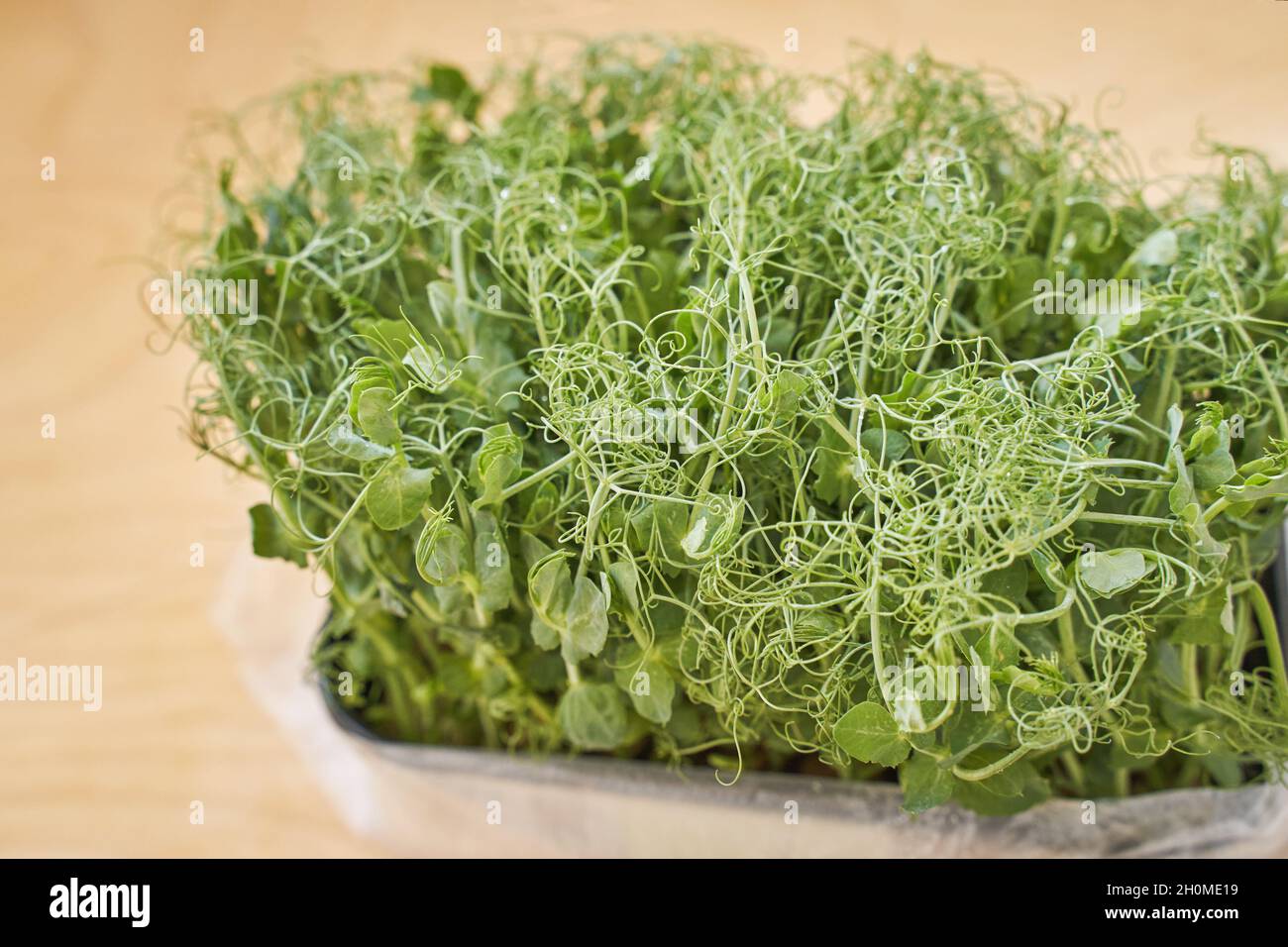 Pea shoots microgreen hi-res stock photography and images - Alamy