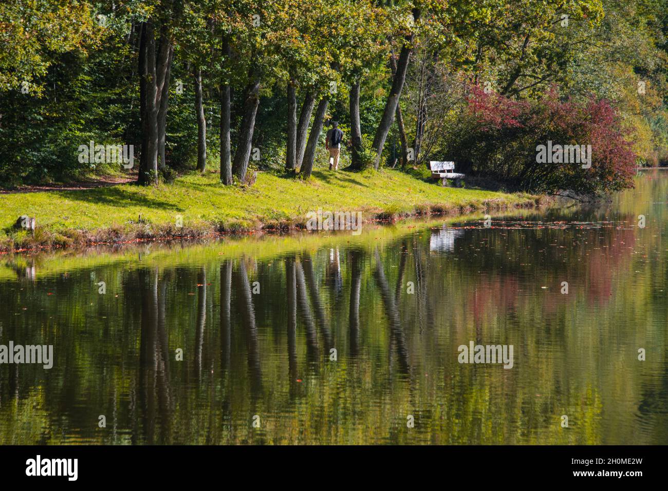 Man walking alone in a colorful landscape on an autumn day Stock Photo ...