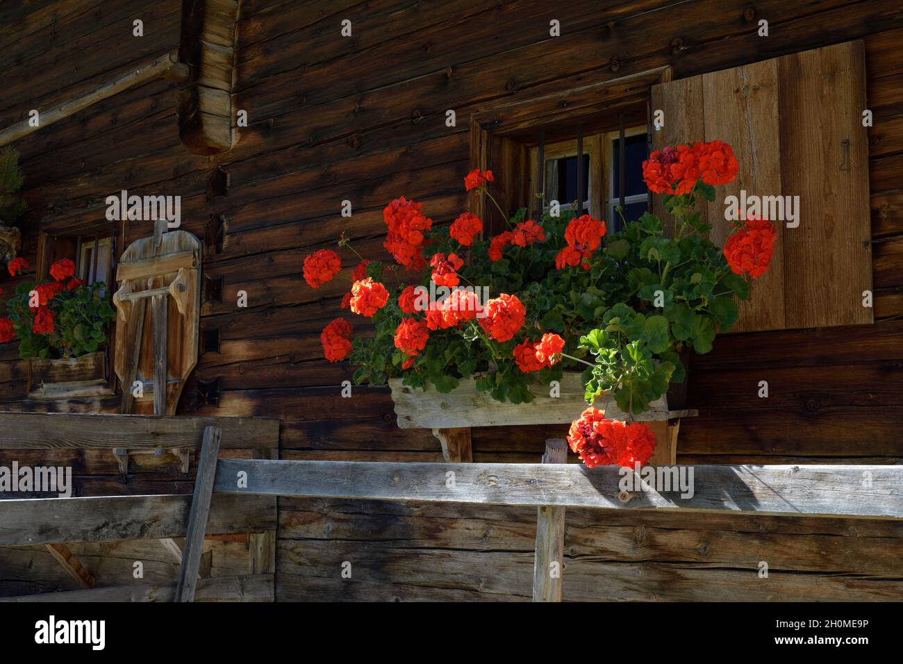 Geraniums alps hi-res stock photography and images - Alamy