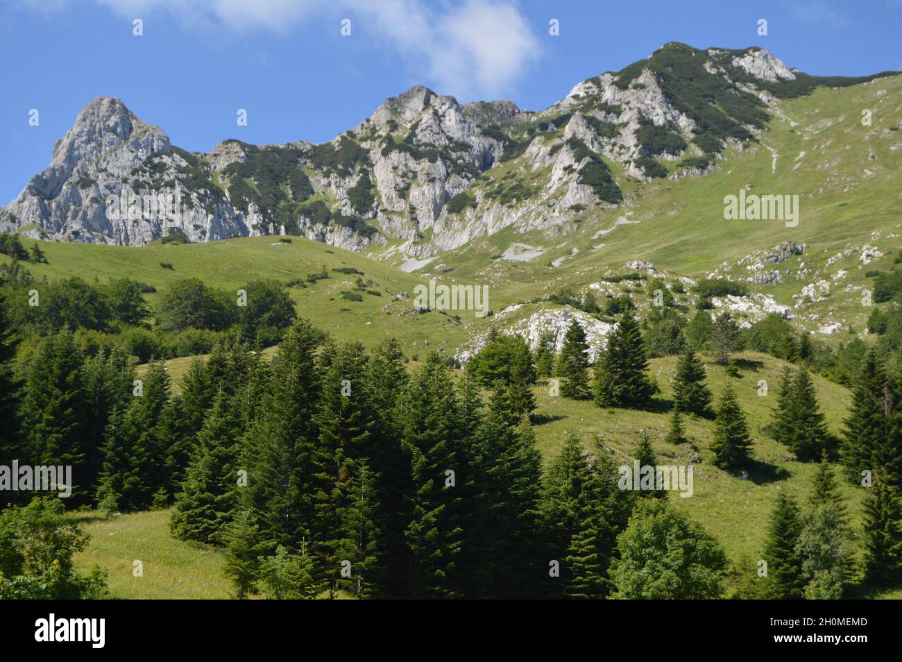 Volujak mountain hi-res stock photography and images - Alamy