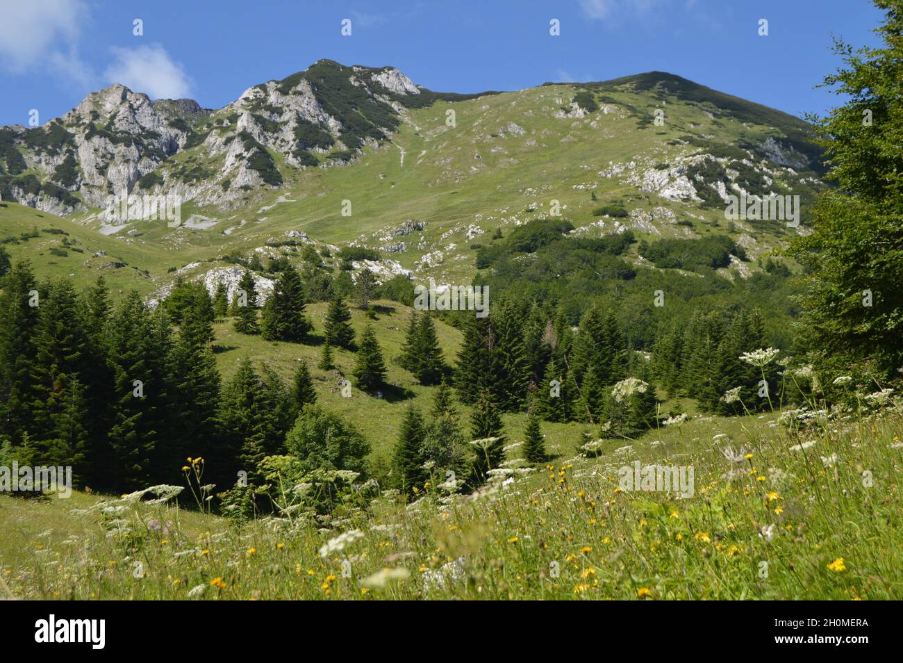 Volujak mountain hi-res stock photography and images - Alamy