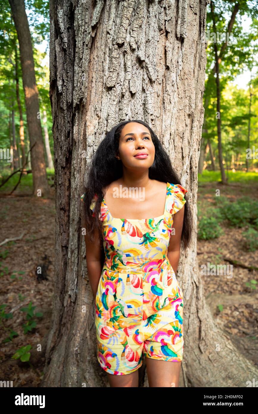Tree dress up hi-res stock photography and images - Alamy