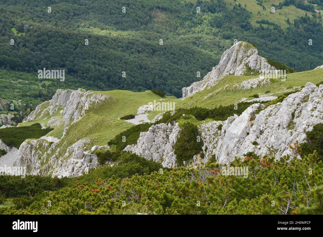 Volujak mountain hi-res stock photography and images - Alamy