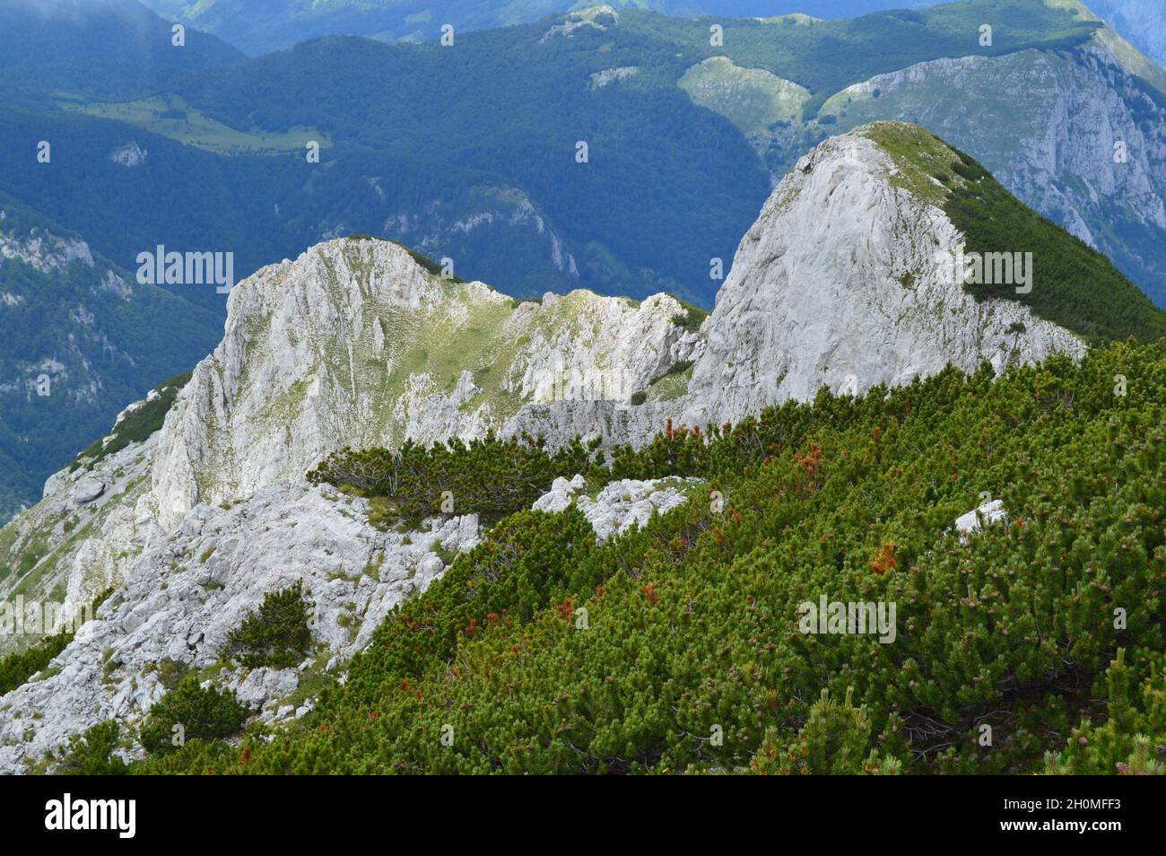 Volujak mountain hi-res stock photography and images - Alamy