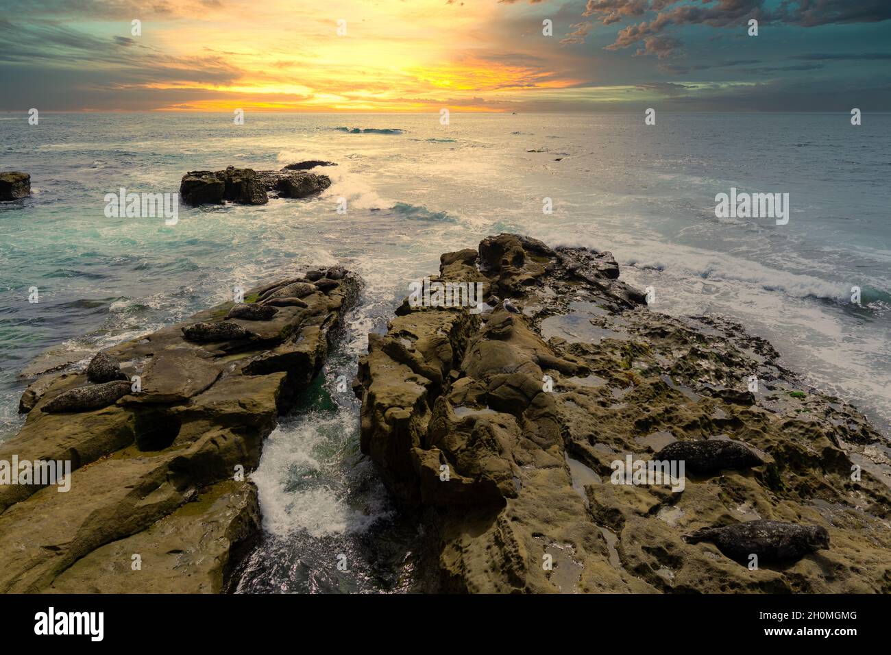 Seal seals sunset sunrise hi-res stock photography and images - Alamy