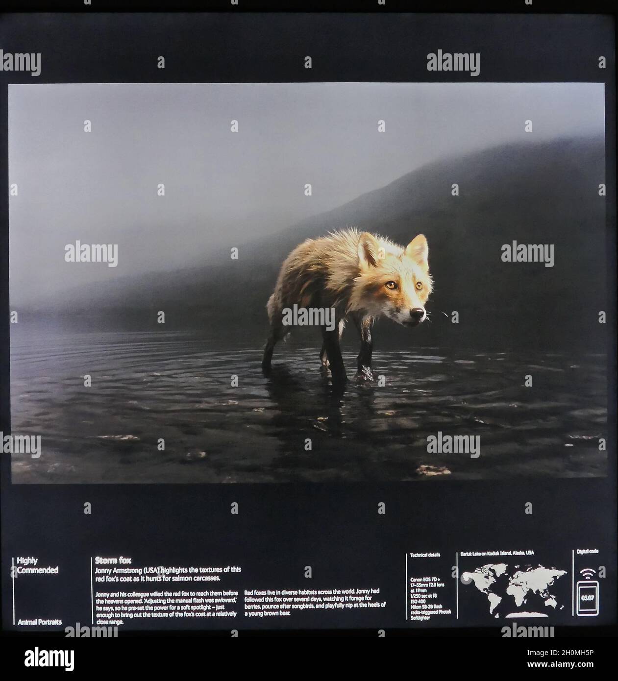 Explore the natural world in all its fragility and diversity at the ...