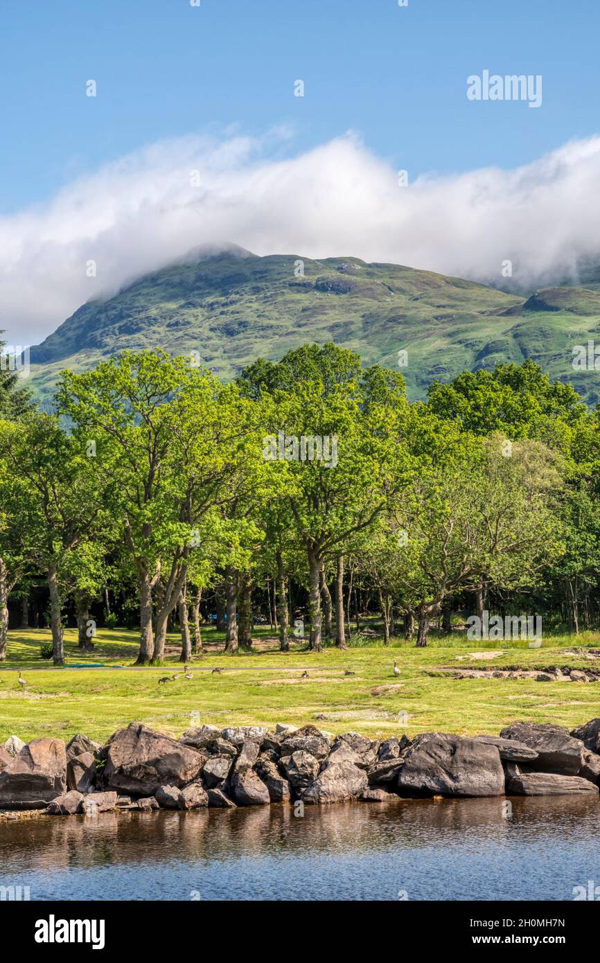 Ben Lomond seen from the shore of Loch Lomond at Inverbeg. It is the ...