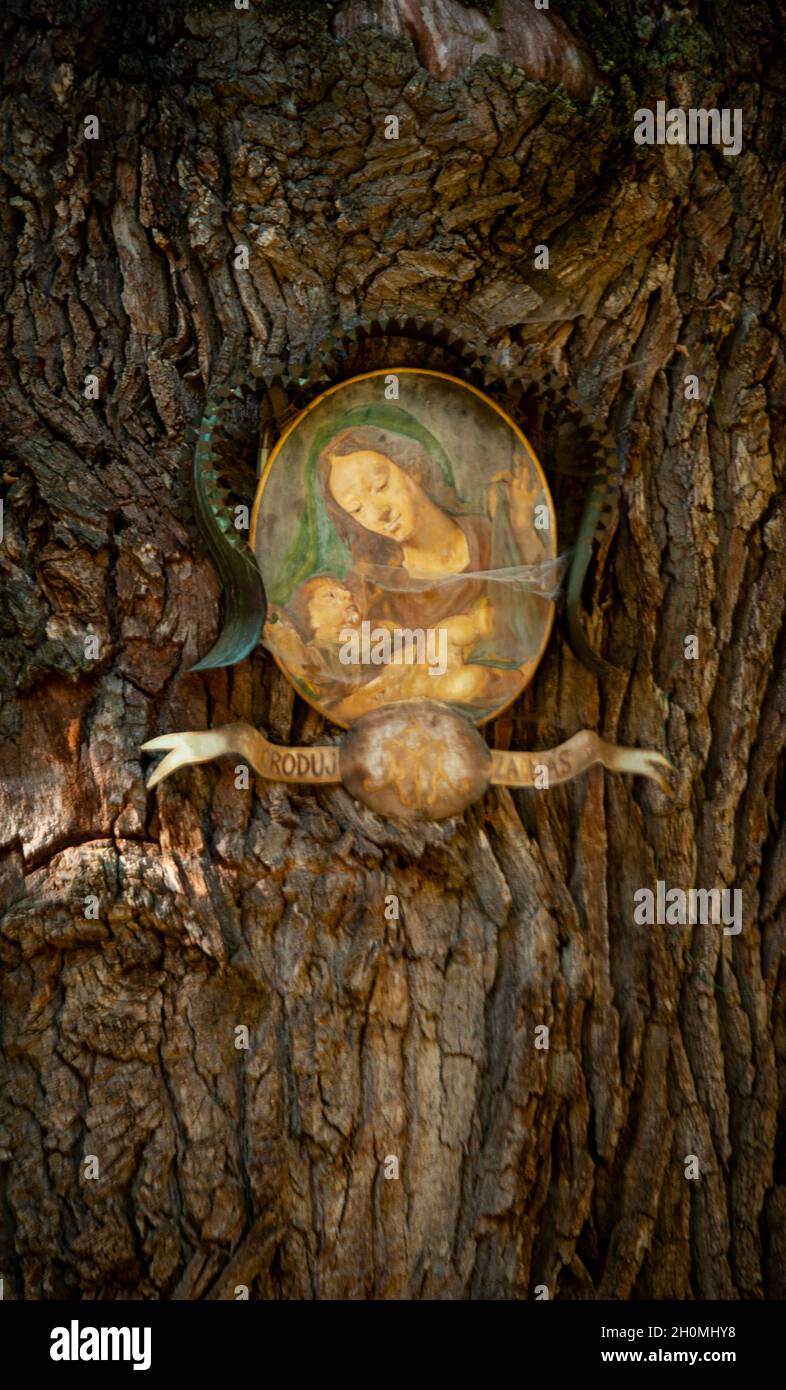 Closeup of the Godmother icon on the bark of the tree Stock Photo - Alamy