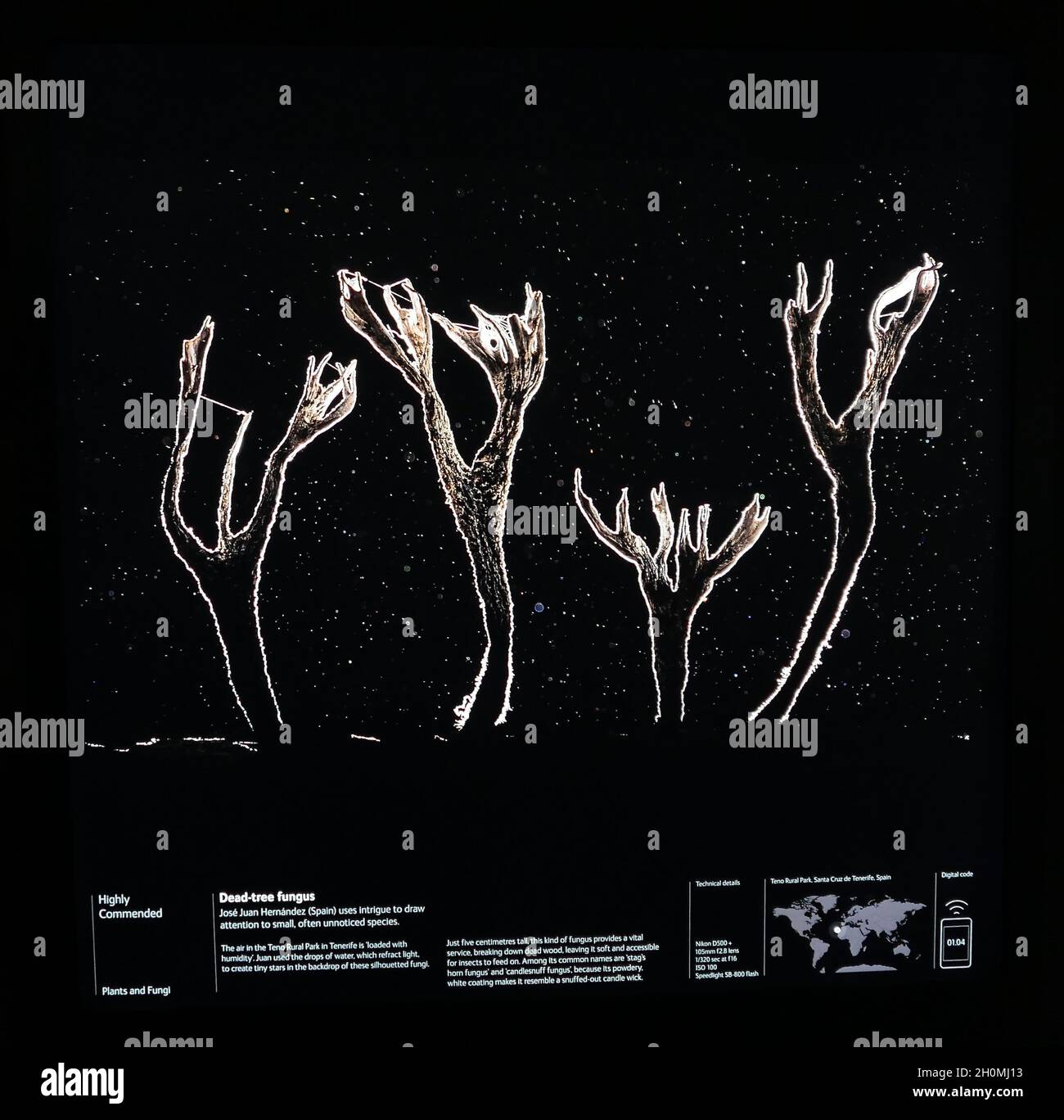 Explore the natural world in all its fragility and diversity at the ...