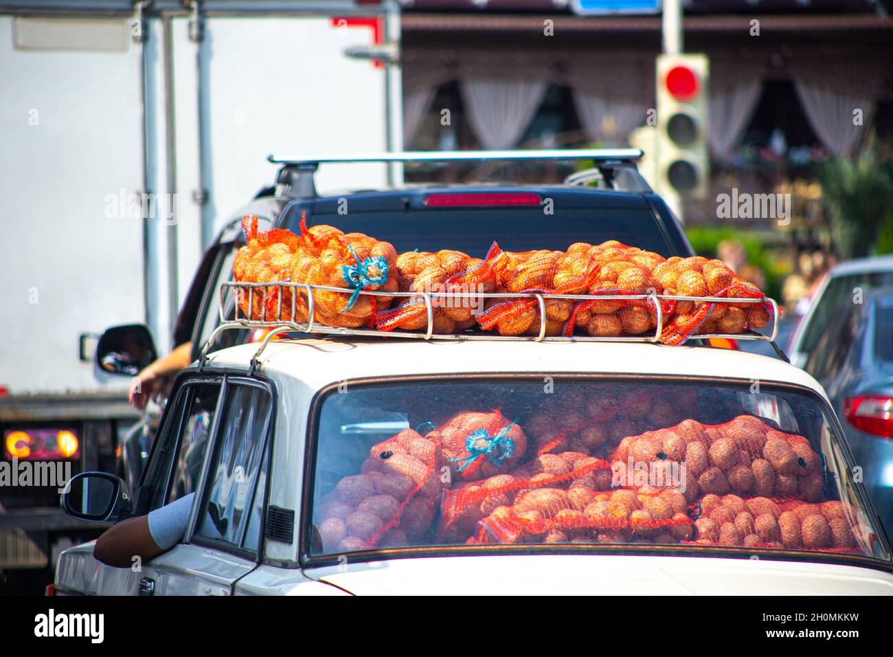 loaded car carries on the trunk bags of potatoes, after harvesting ...