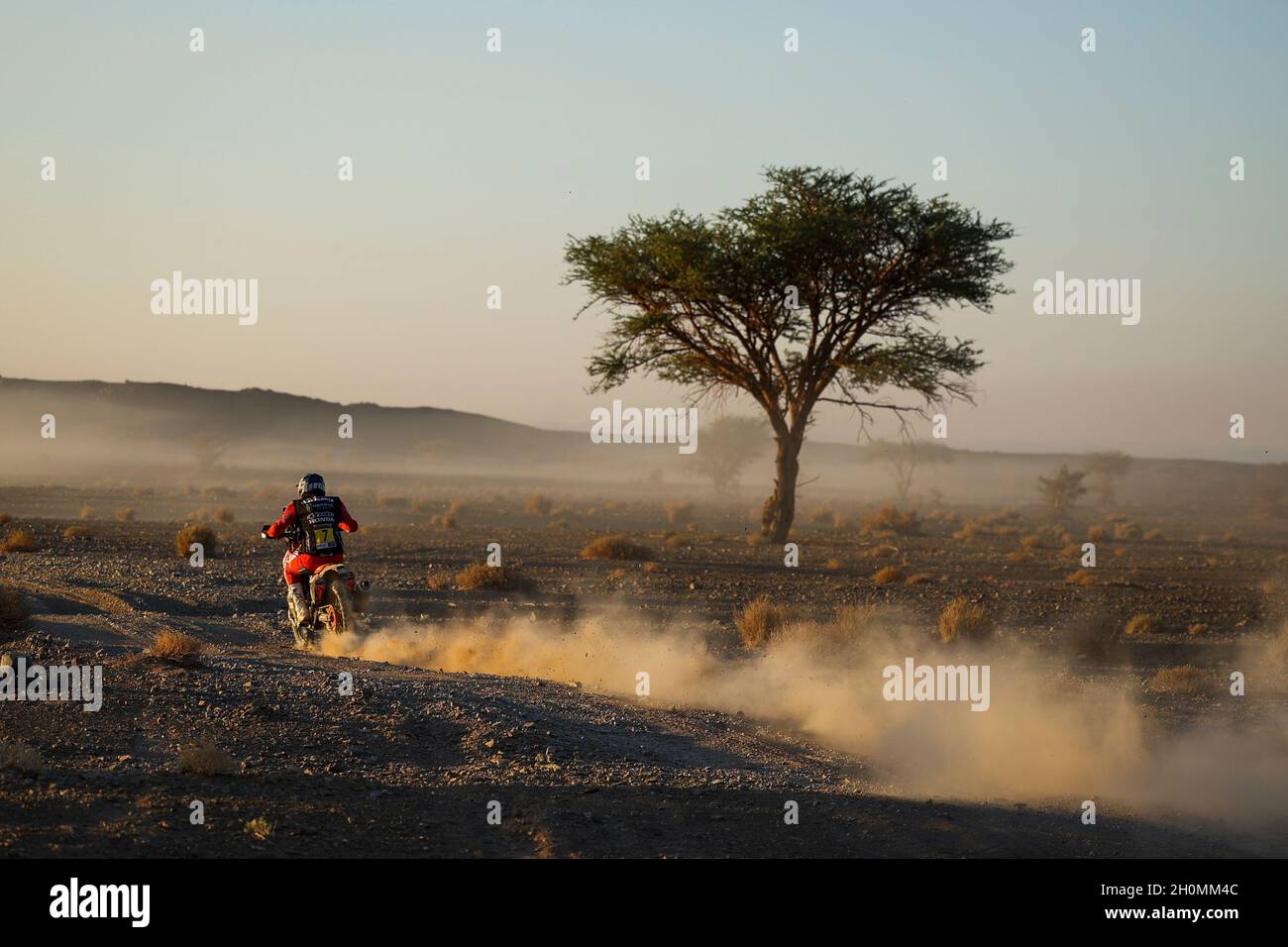 Zagora, Morocco, 13/10/2021, 07 Quintanilla Pablo (chl), Monster Energy ...