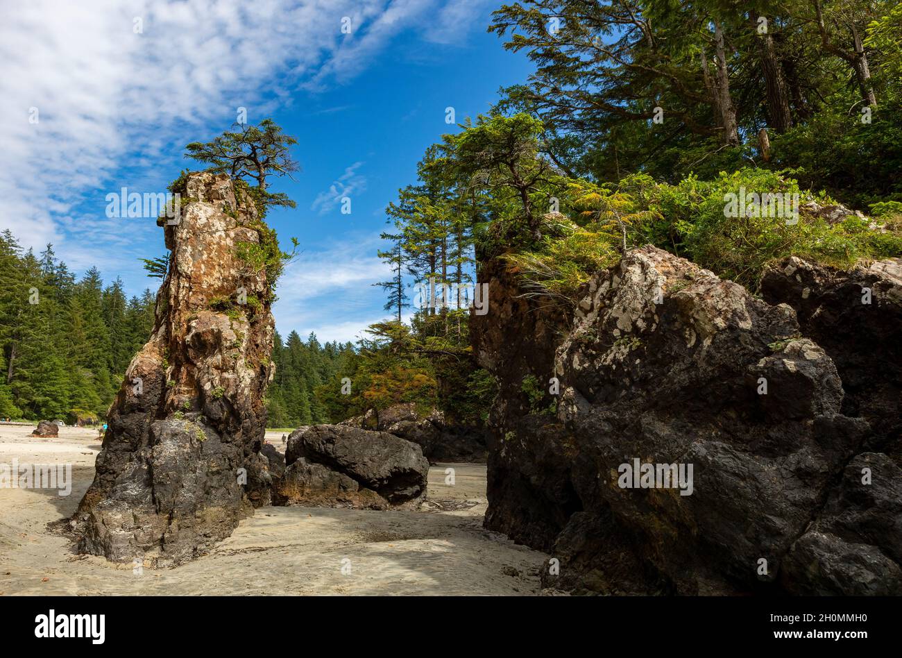 Cape scott hi-res stock photography and images - Alamy