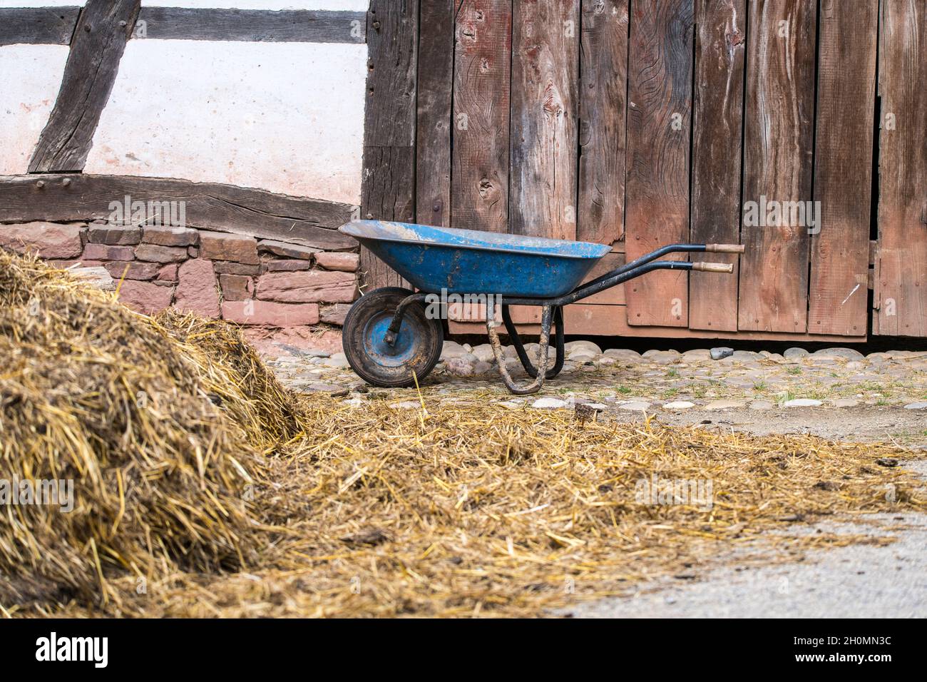 Blue wheelbarrow hi-res stock photography and images - Alamy