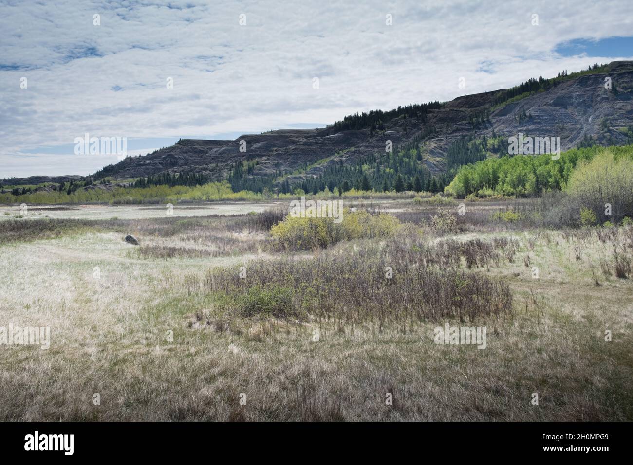 dry island buffalo jump Stock Photo - Alamy