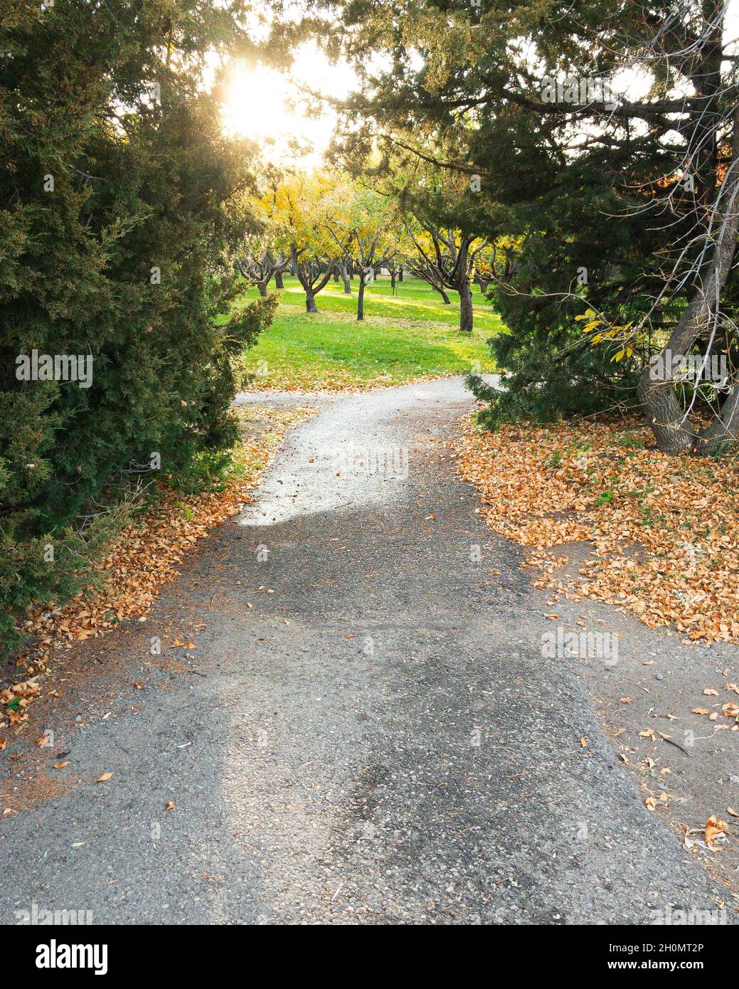 Fall path - fall road Stock Photo - Alamy