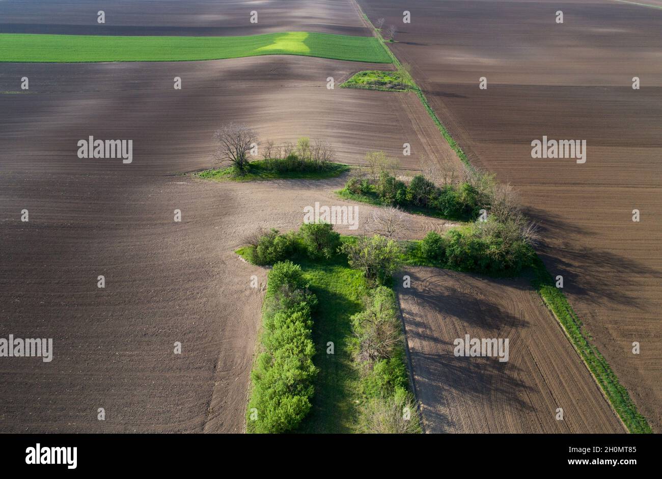 Different crops hi-res stock photography and images - Alamy