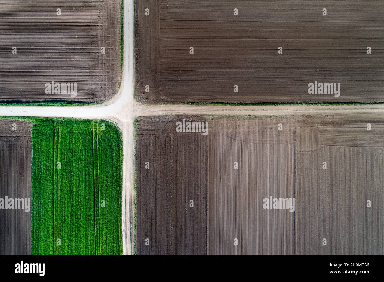Abstract geometric shapes of agricultural parcels of different crops ...