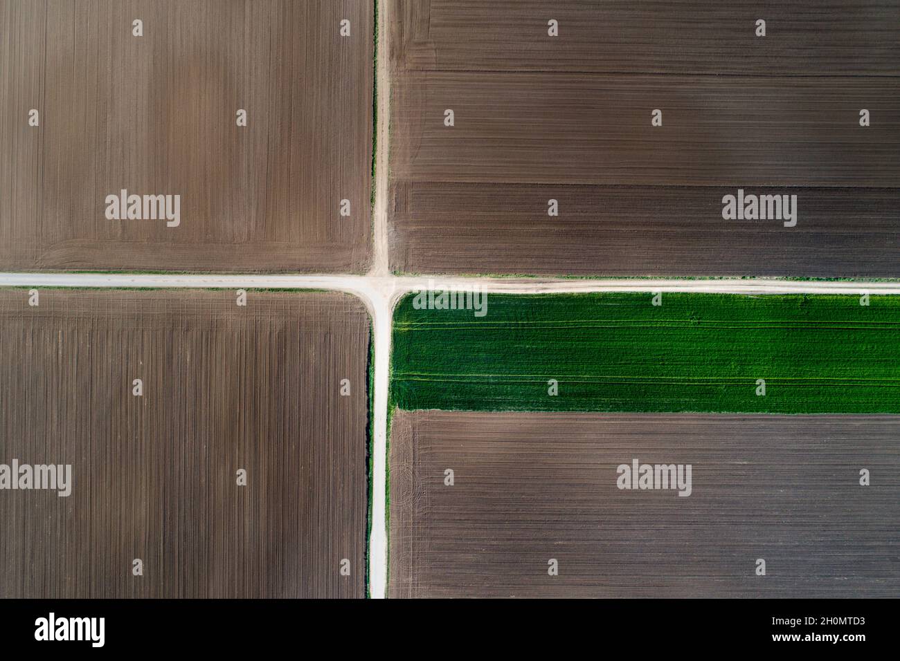Abstract geometric shapes of agricultural parcels of different crops ...