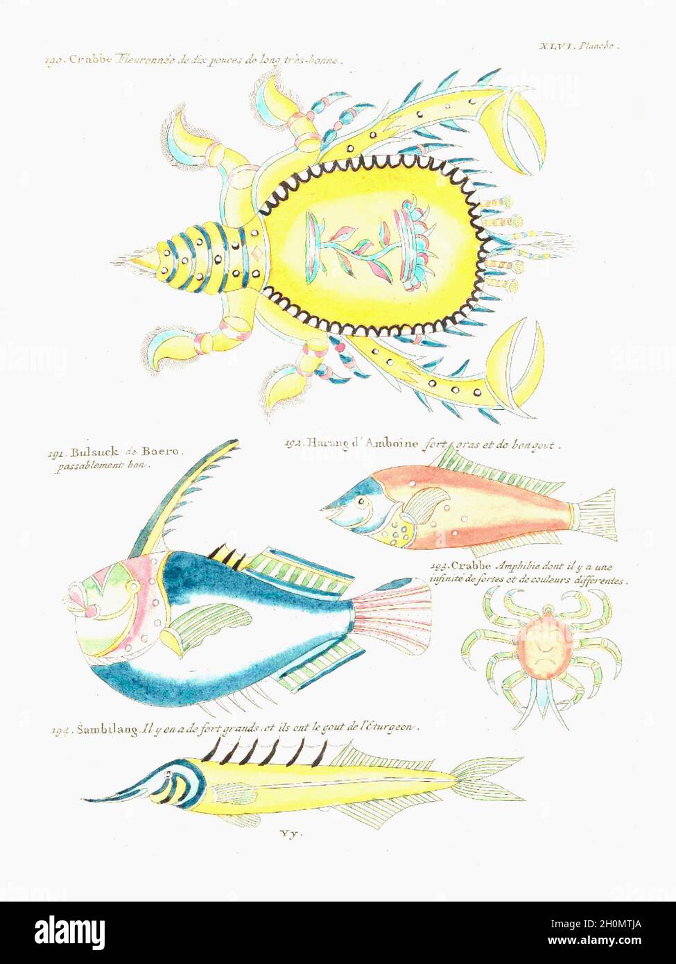 Louis Renard vintage fantasy fish Stock Photo - Alamy