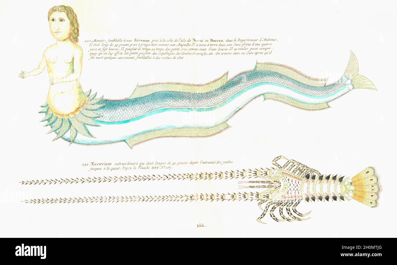 Louis Renard vintage fantasy fish Stock Photo - Alamy