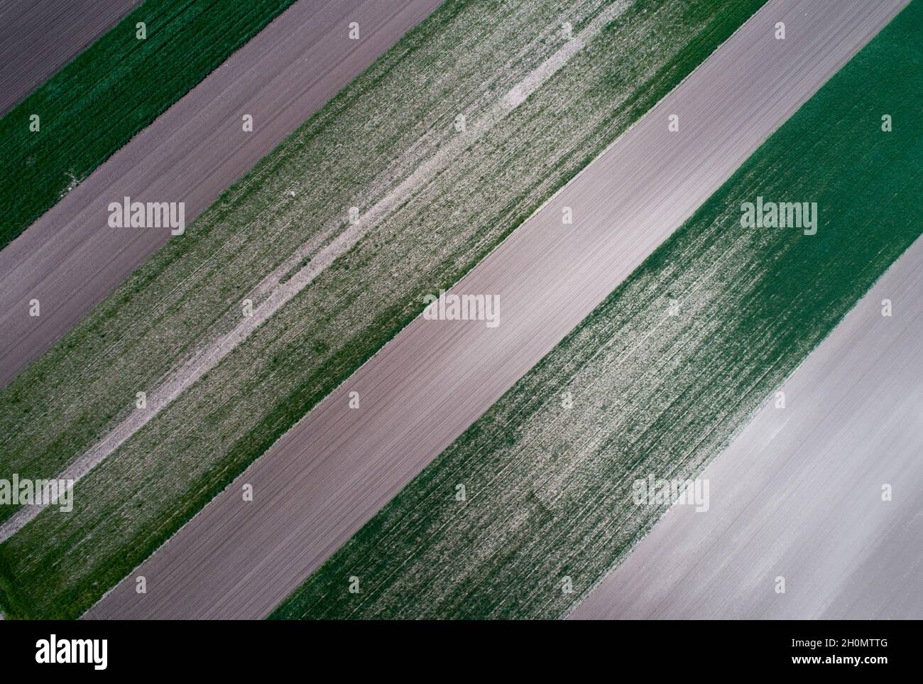 Abstract geometric shapes of agricultural parcels of different crops ...